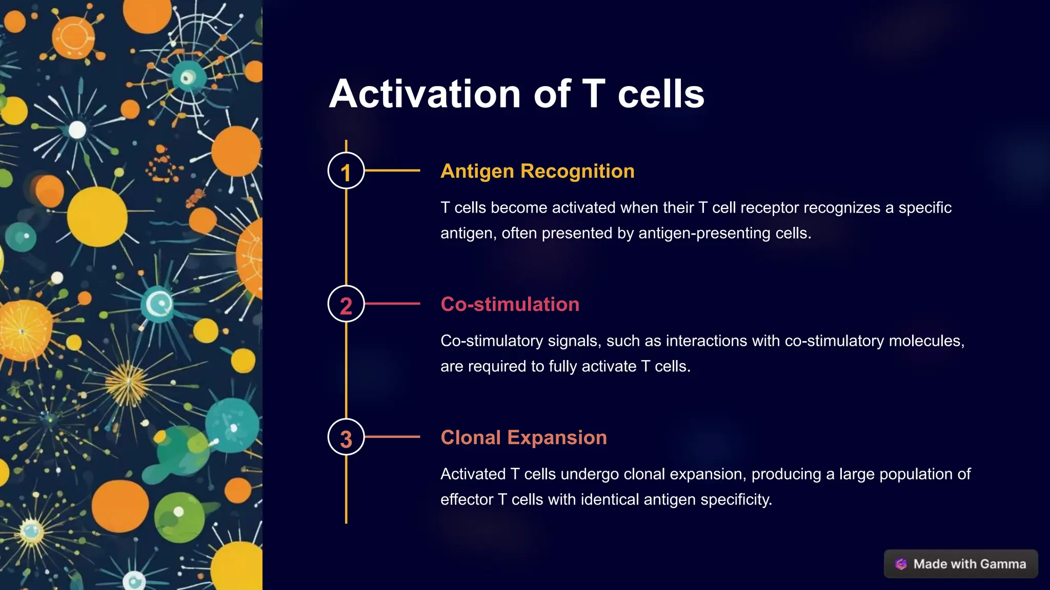 Introduction to T cells in the immune system | PPTX