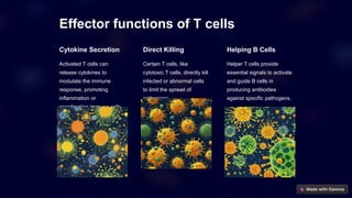 Introduction to T cells in the immune system | PPT