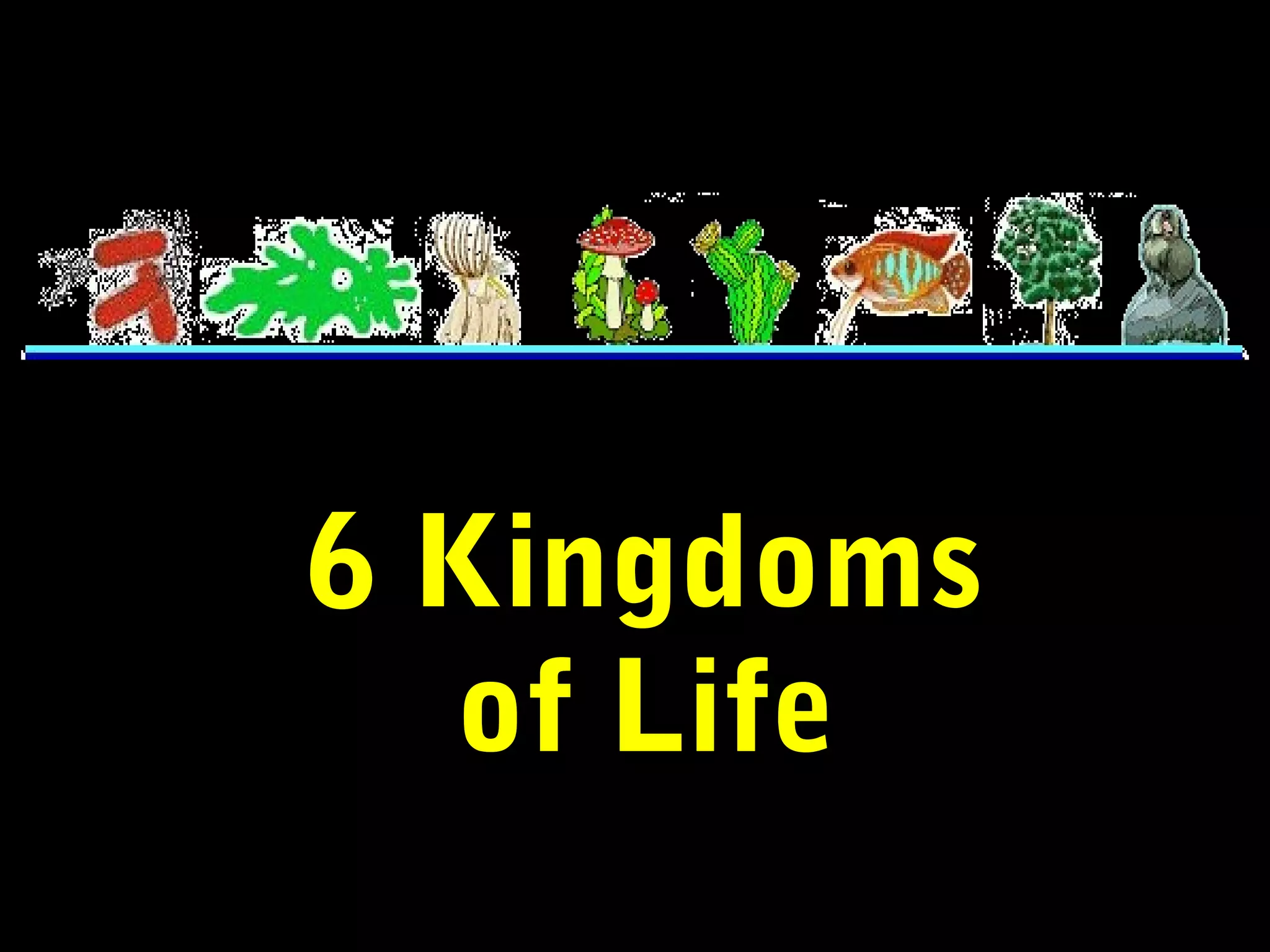 kingdoms of life | PPT