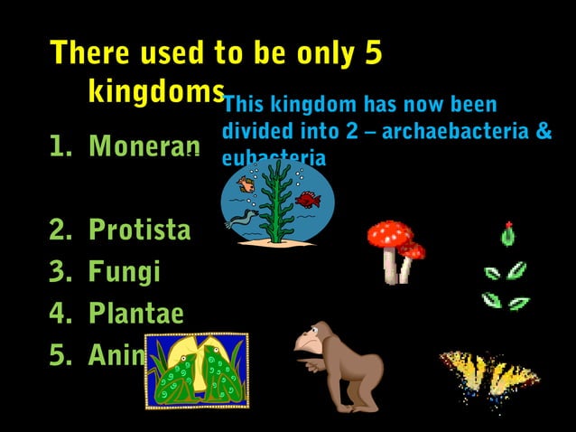kingdoms of life | PPT