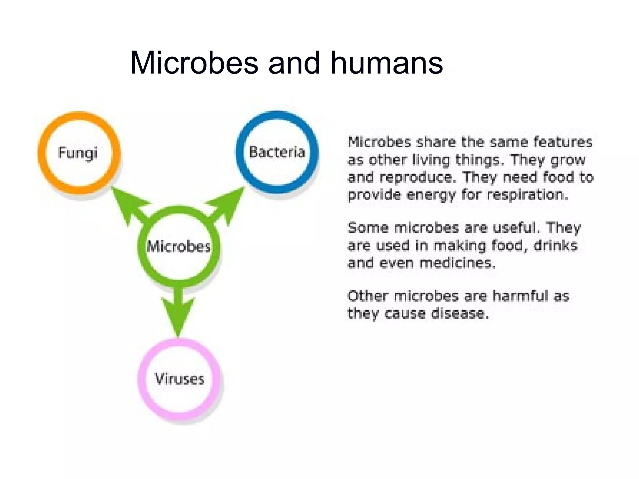 6 laboratory diagnosis of bacterial infection | PPT