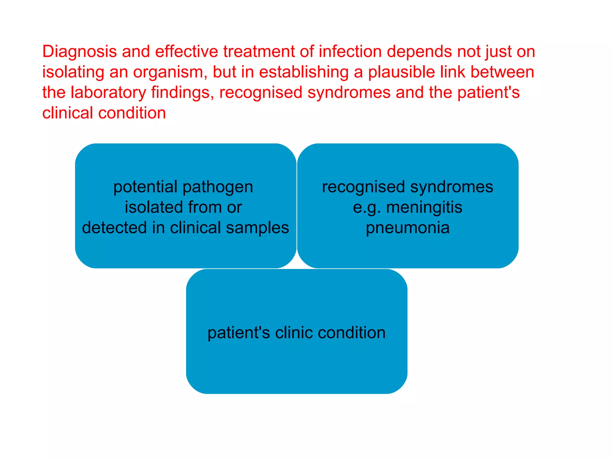 6 laboratory diagnosis of bacterial infection | PPT
