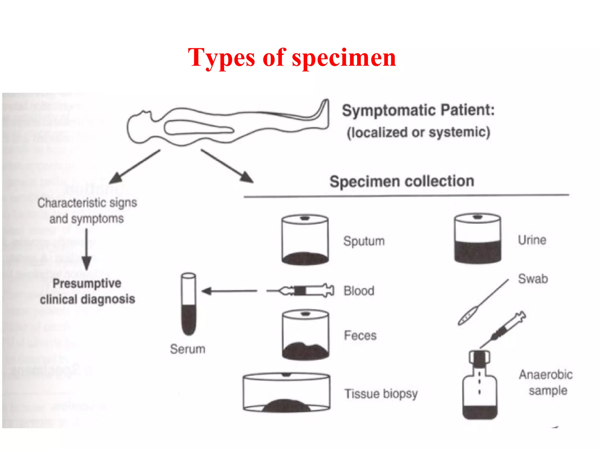6-laboratorydiagnosisofbacterialinfection.pdf