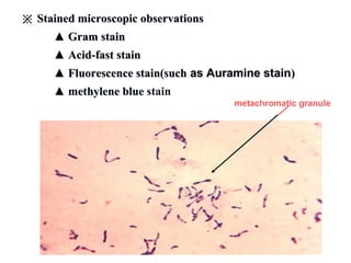 6-laboratorydiagnosisofbacterialinfection.pdf