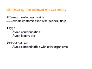 6-laboratorydiagnosisofbacterialinfection.pdf