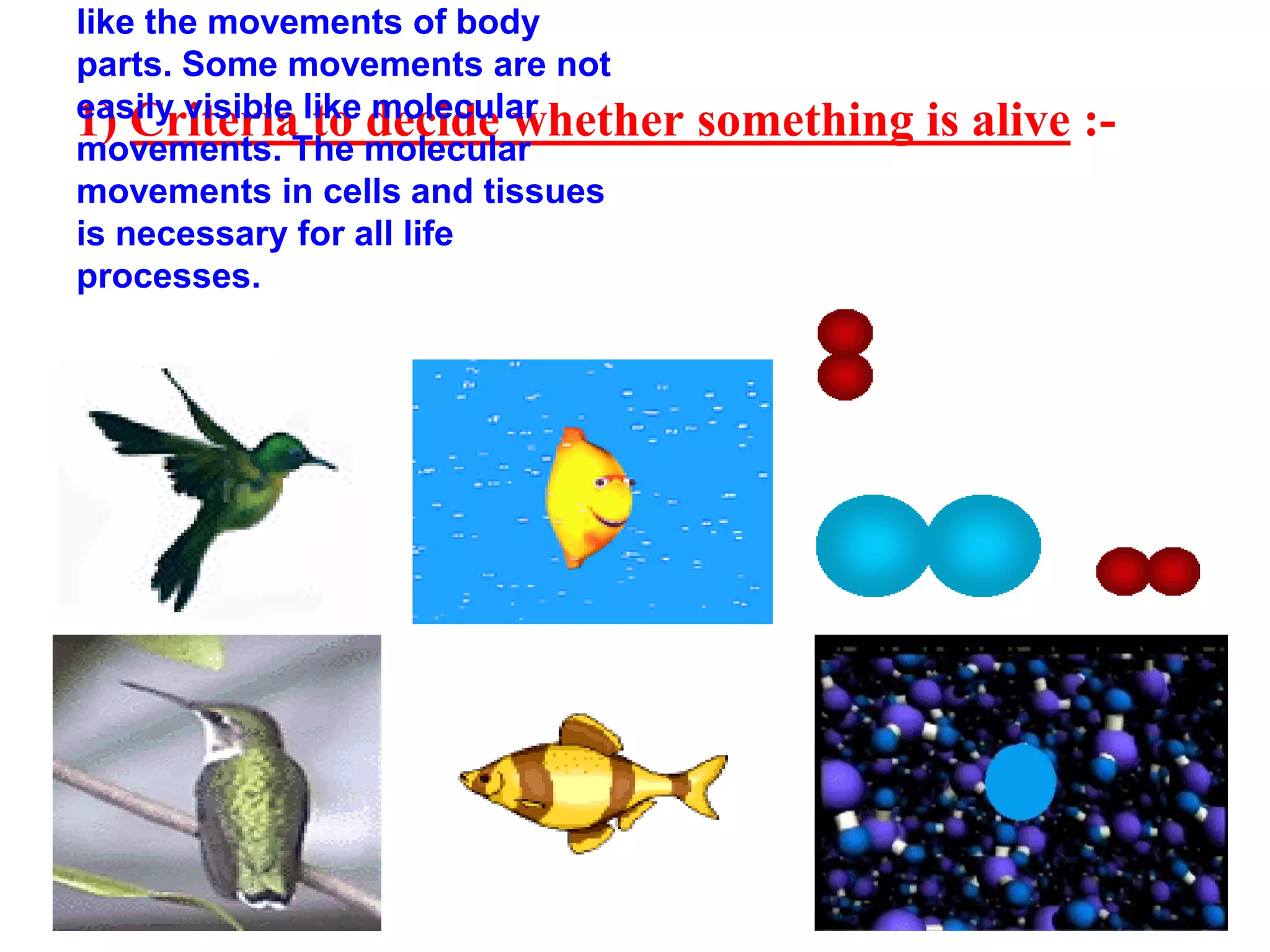 6-LIFE PROCESSES.pdf