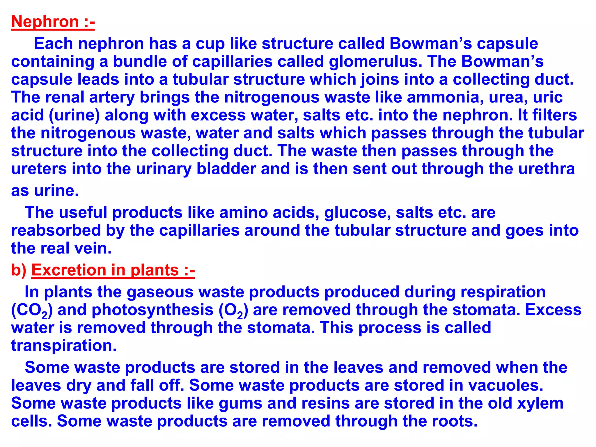 6-LIFE PROCESSES ppt.pdf