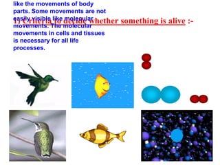 6-LIFE PROCESSES ppt.pdf