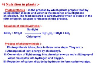 6-LIFE PROCESSES ppt.pdf
