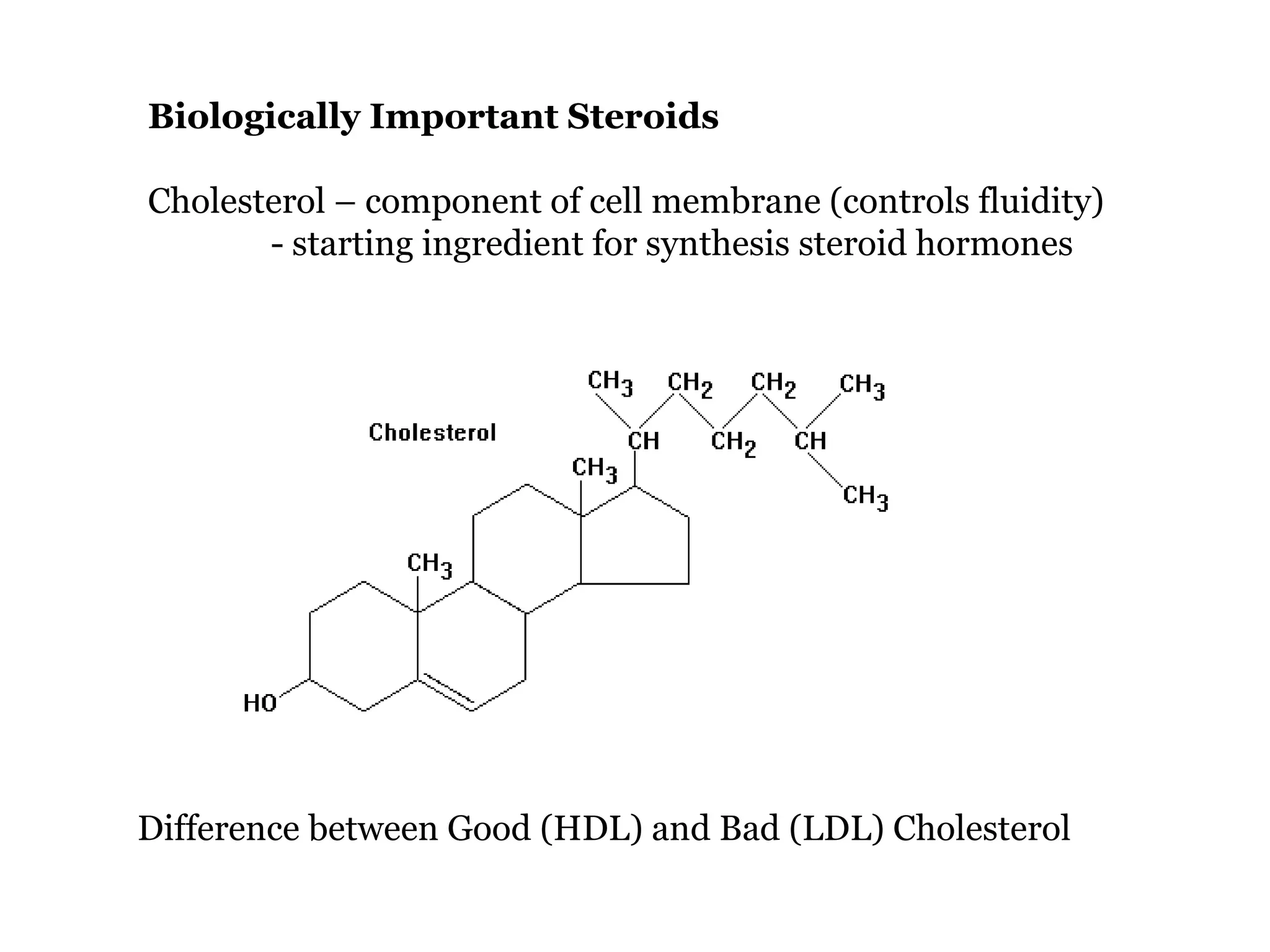 Lipids | PPT