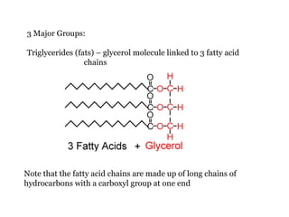 Lipids | PPT