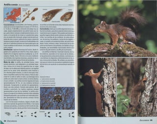 6 - Lista Especies Mamiferos.pdf