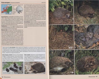 6 - Lista Especies Mamiferos.pdf