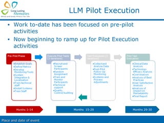 LLM project deployment plan | PPT