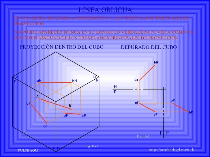 6. línea oblicua