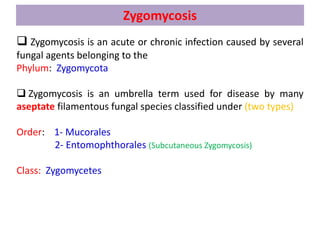 Lobomycosis , Rhinomycosis & Zygomycosis | PDF