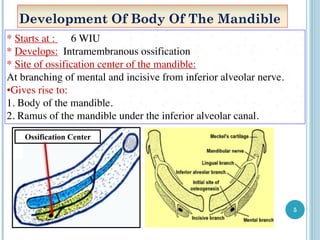 6 mandible dr sherif hassan | PDF
