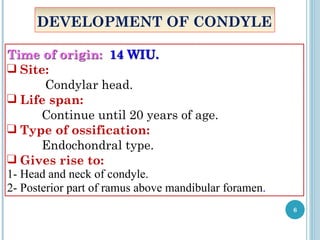 6 mandible dr sherif hassan | PDF