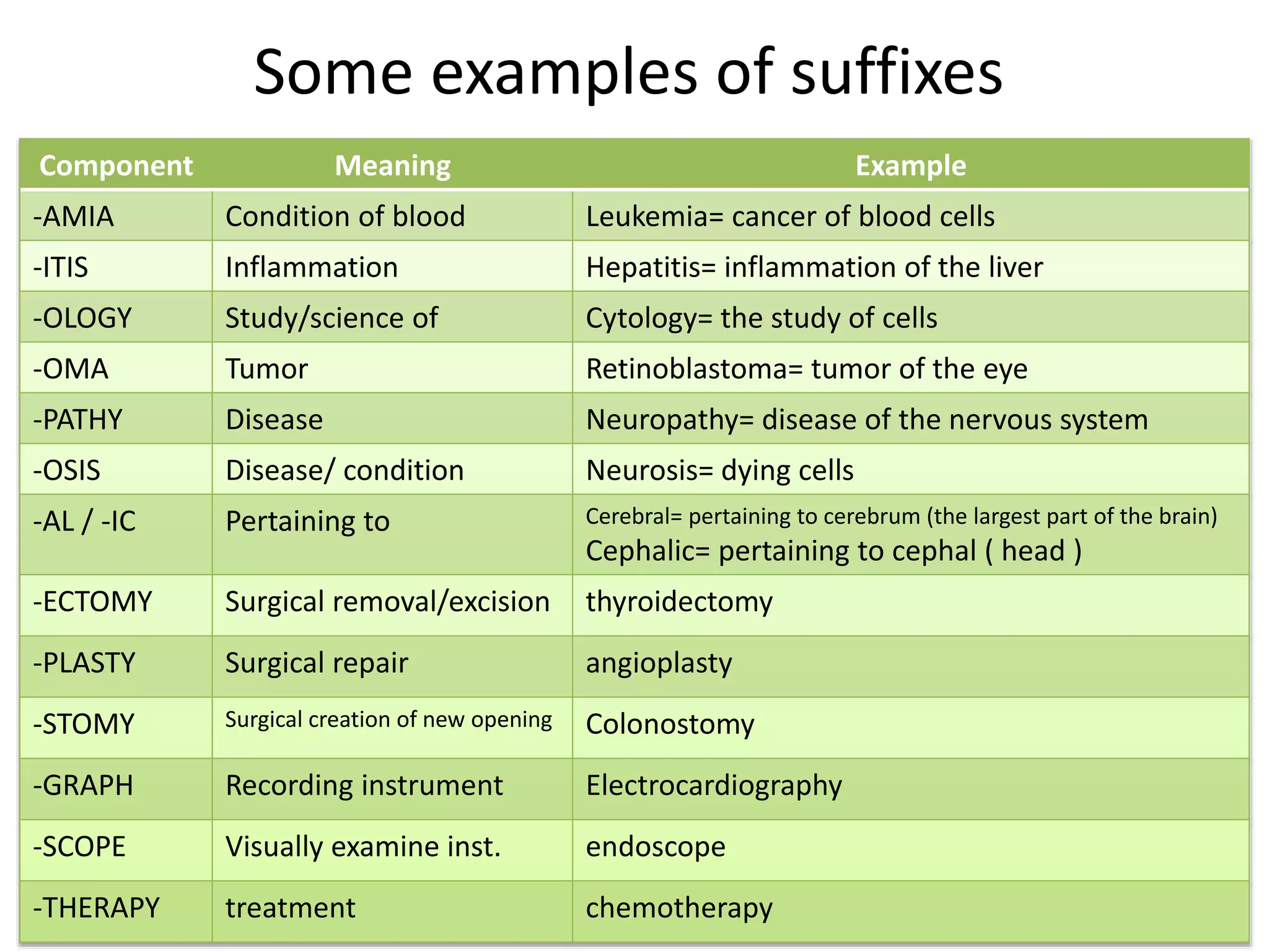 6-Medical Terminology.ppsx