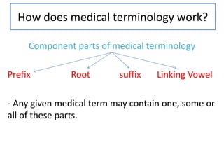 6-Medical Terminology.ppsx