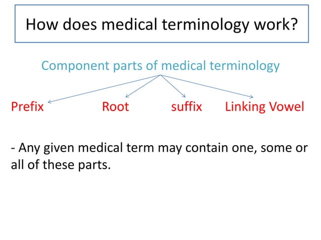 6-Medical Terminology.ppsx