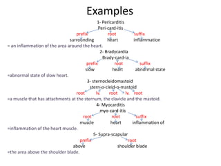 6-Medical Terminology.ppsx
