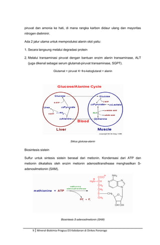 6 metabolisme asam-amino | DOC
