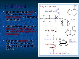 6. metabolisme lipid | PPT