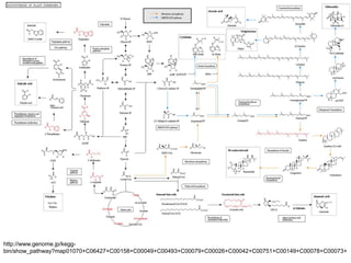 6 metabolite enrichment analysis | PPTX