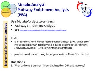 6 metabolite enrichment analysis | PPTX