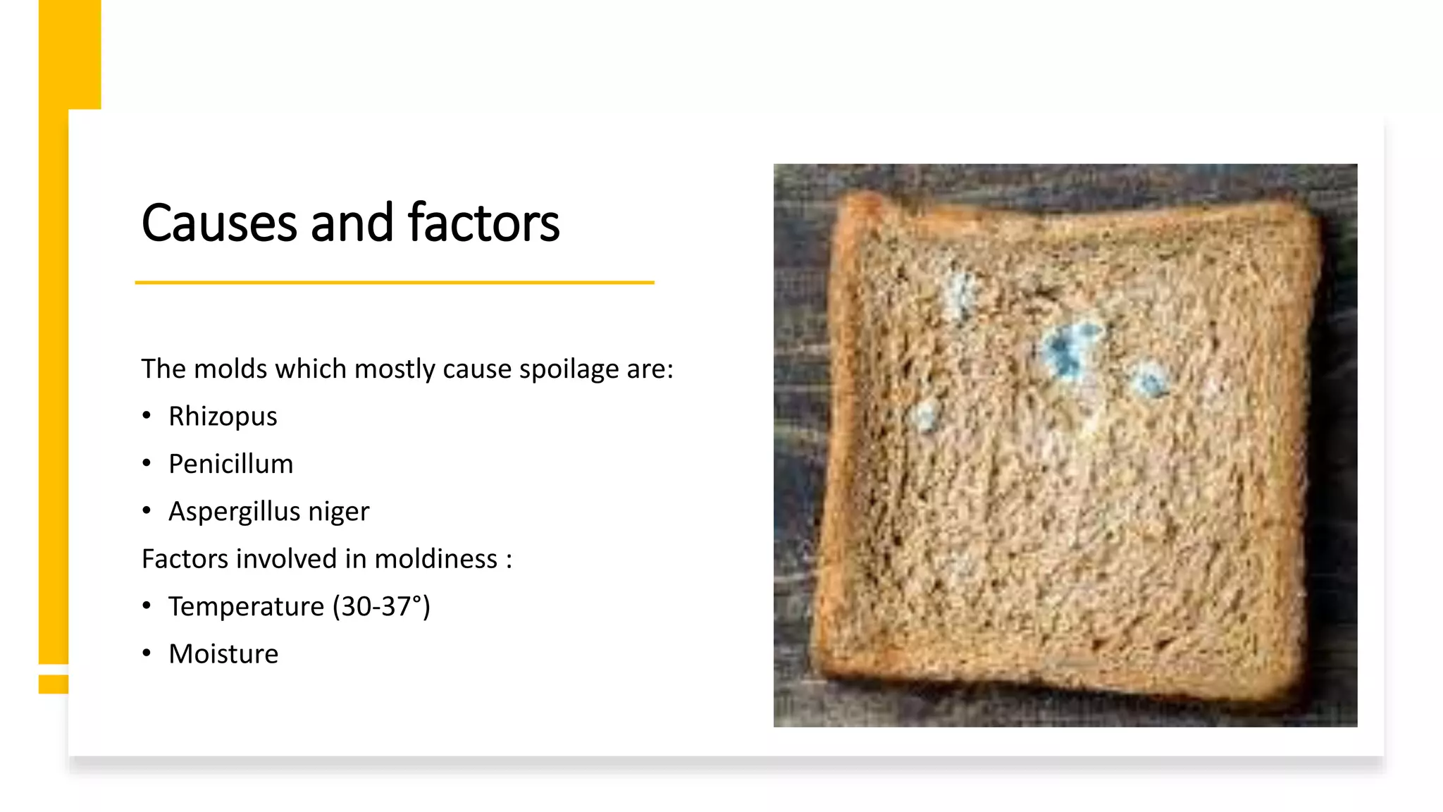 6-molds staling prevention.pptx