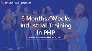 6 Months / Weeks Industrial Training - PHP Training Institute | PPT