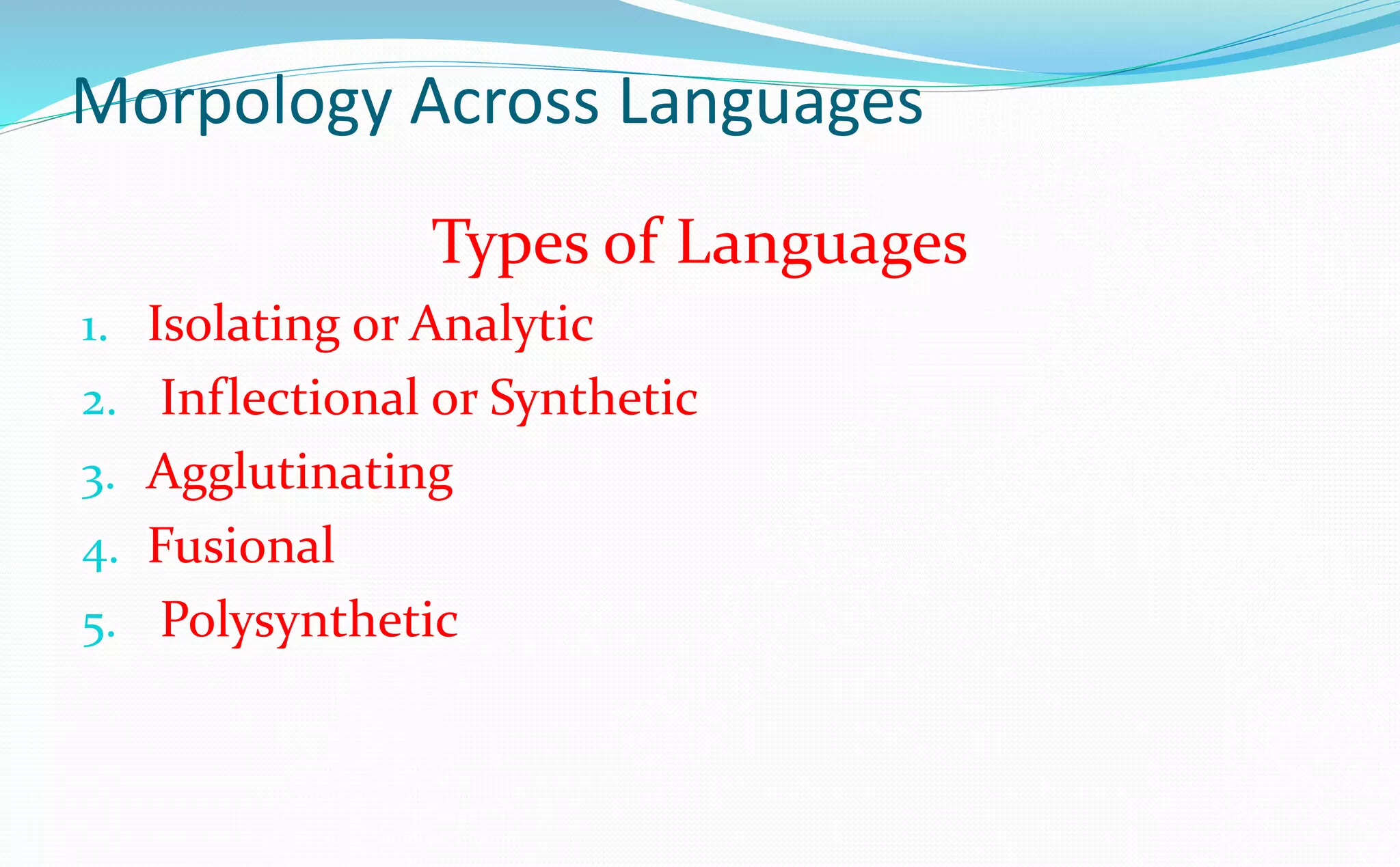Morphological typology/ Morphological Operations | PPTX