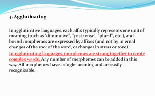 Morphological typology/ Morphological Operations | PPTX