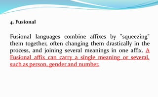 Morphological typology/ Morphological Operations | PPTX