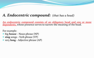 Morphological typology/ Morphological Operations | PPTX