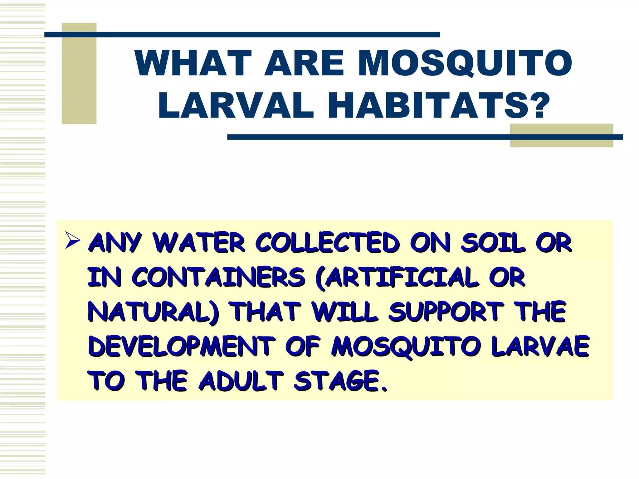 6 Mosquitoes, Their Life Cycle And Larval Habitats | PPT