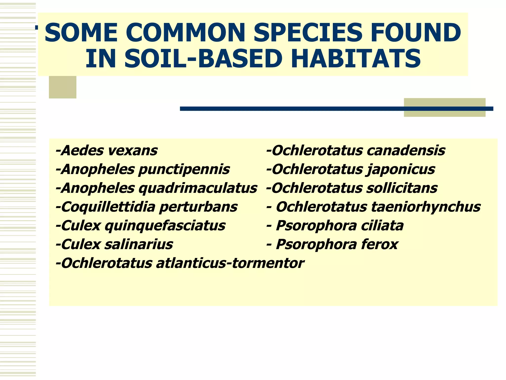 6 Mosquitoes, Their Life Cycle And Larval Habitats | PPT