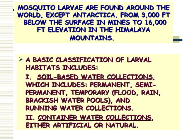 6 Mosquitoes, Their Life Cycle And Larval Habitats | PPT