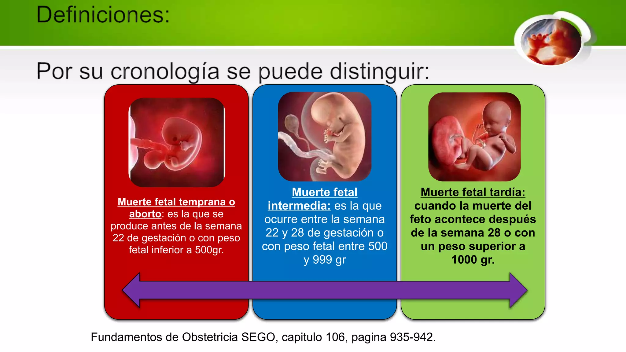 muerte fetal | PPTX