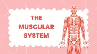 6 - MUSCULAR SYSTEM.pptx