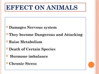 noise and noisepollution in environmental studies.pptx