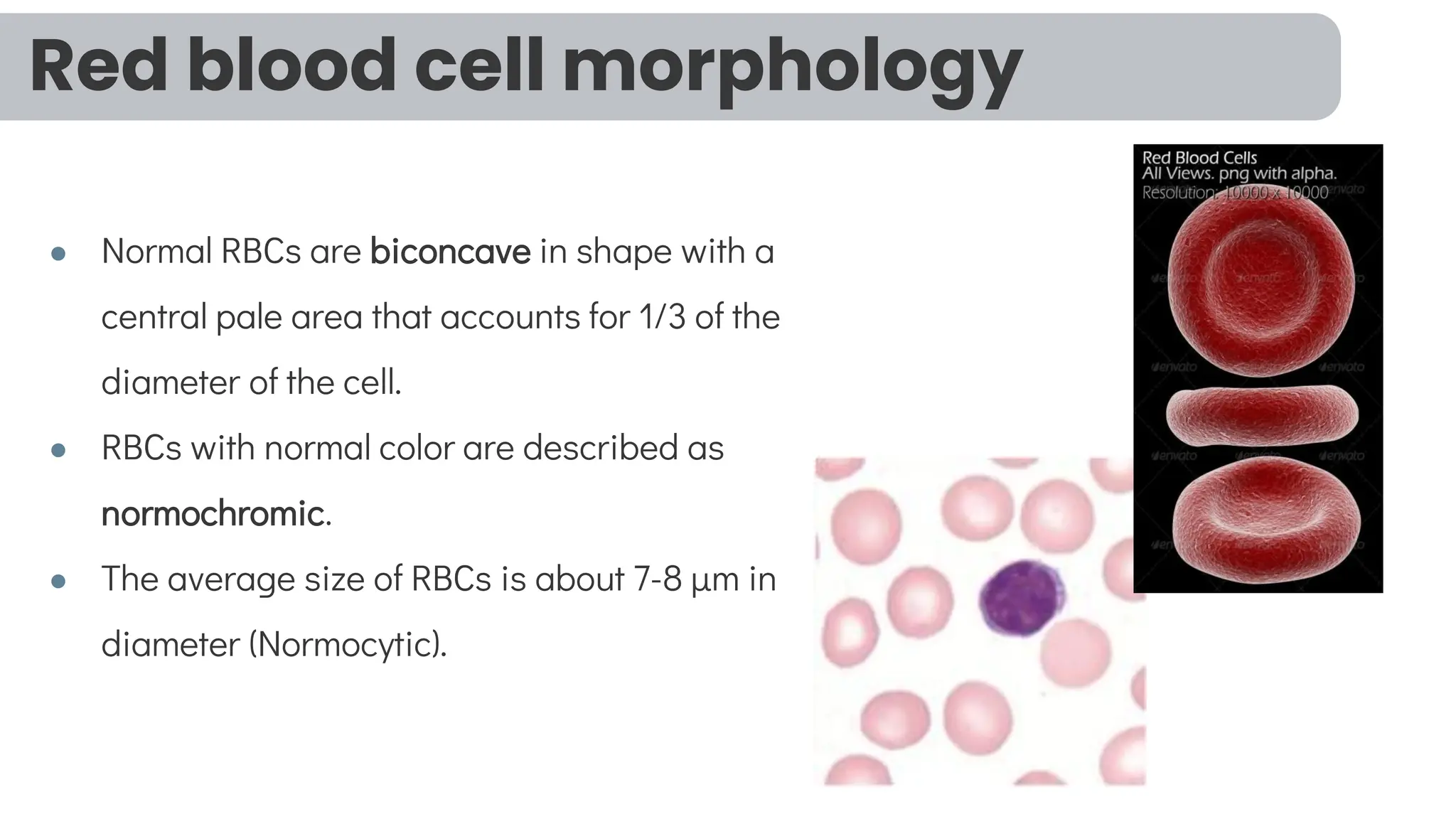 6 - Normal and Abnormal Red Blood Cells Morphology .pdf