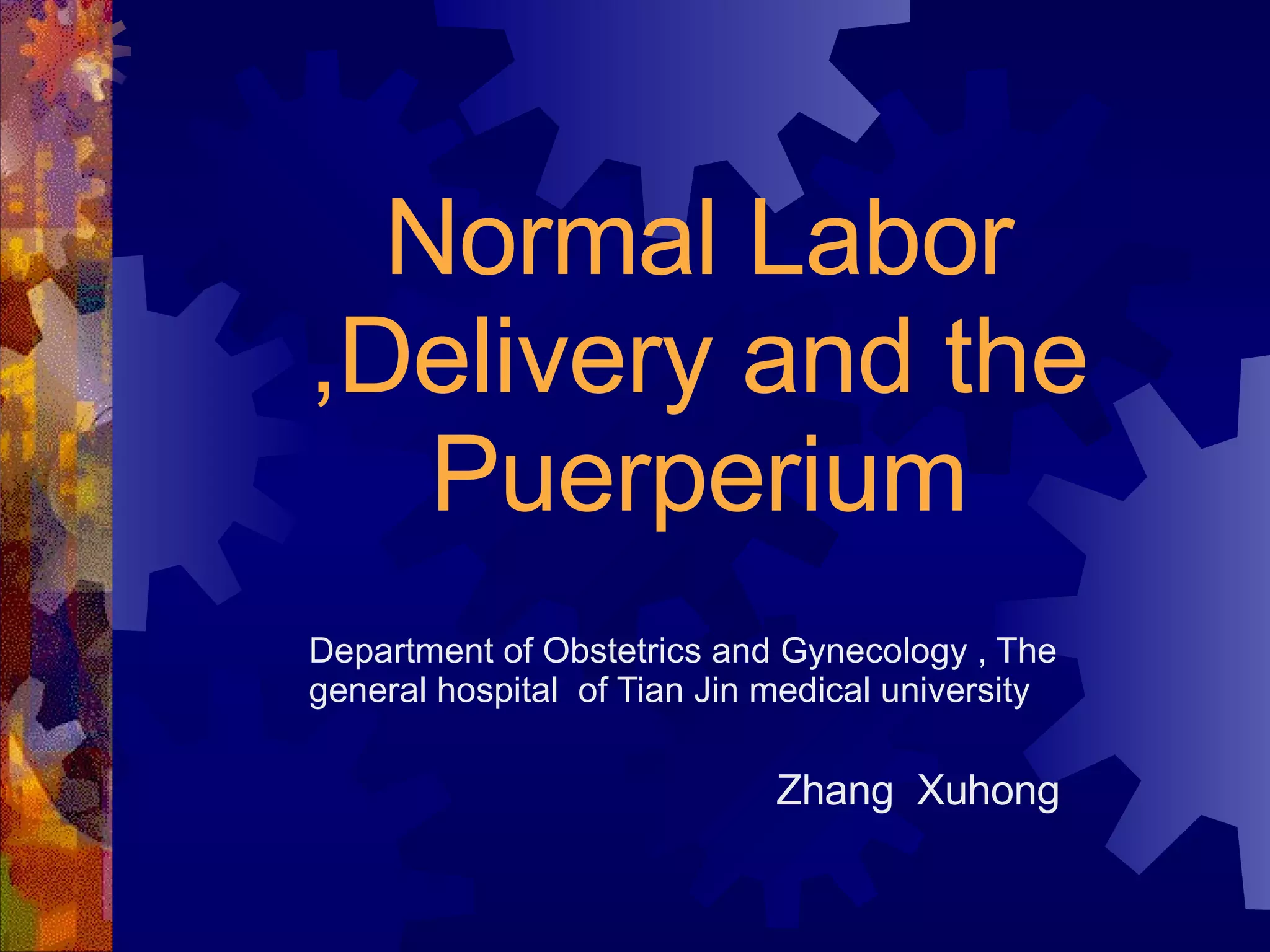6.Normal Labor,Delivery And The Puerperium | PPT