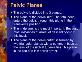 6.Normal Labor,Delivery And The Puerperium | PPT