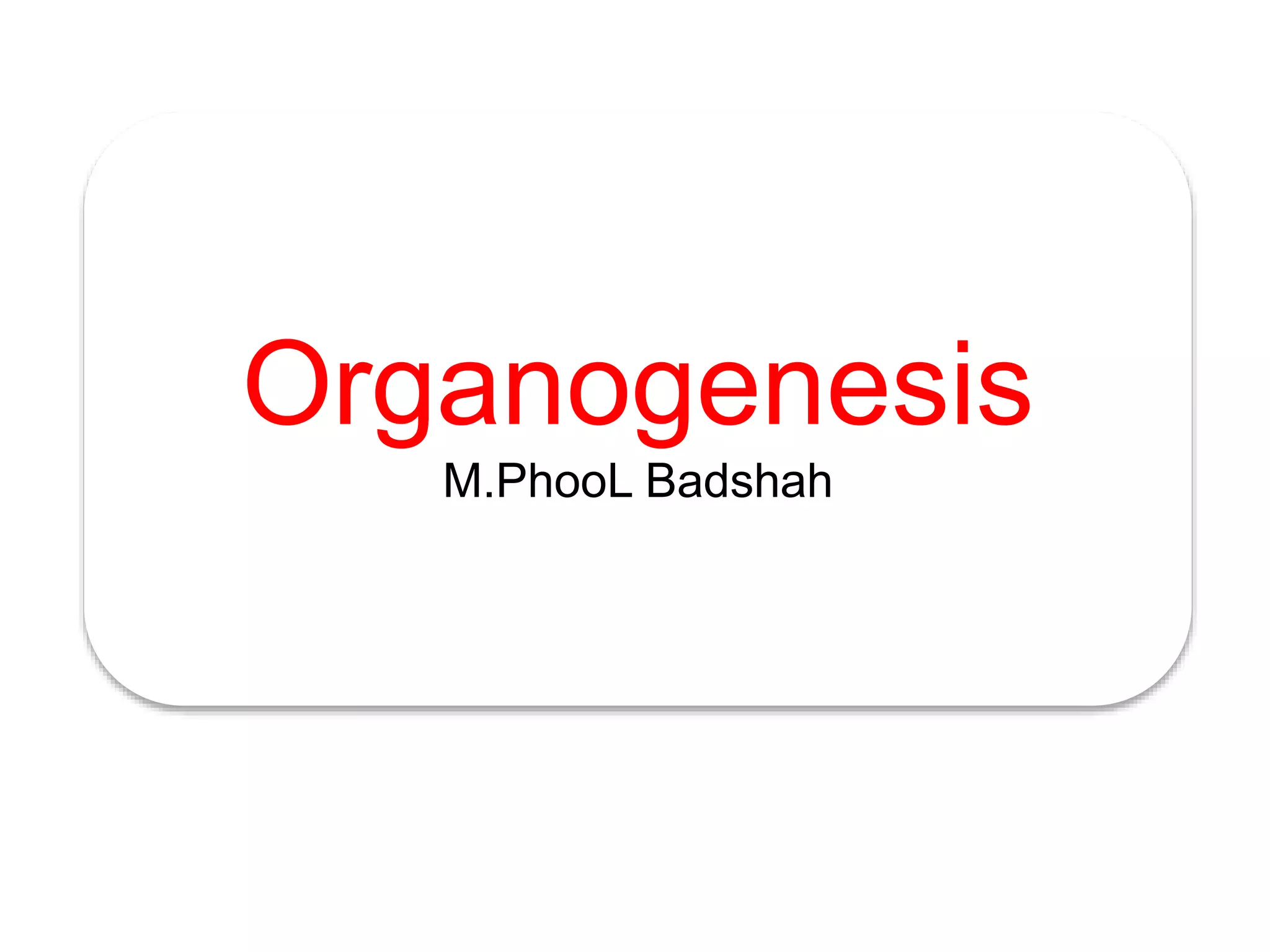 6-Organogenesis.pptx