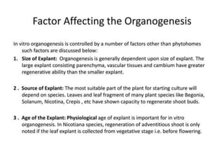 6-Organogenesis.pptx