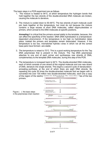 PCR technology | PDF | Chemistry | Science