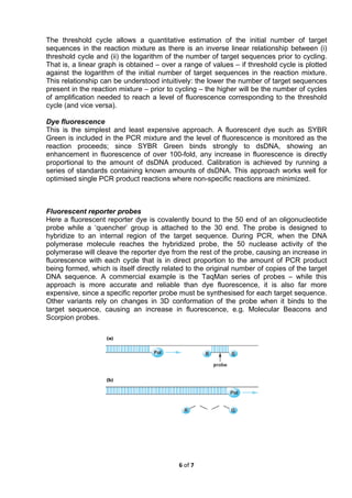 PCR technology | PDF