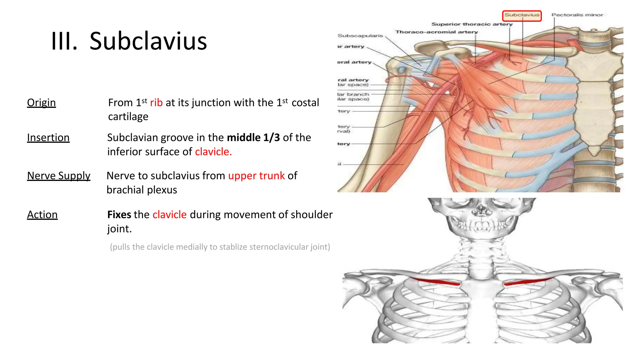 6-Pectoral Region and Axilla pdf.pptx hj | PPT